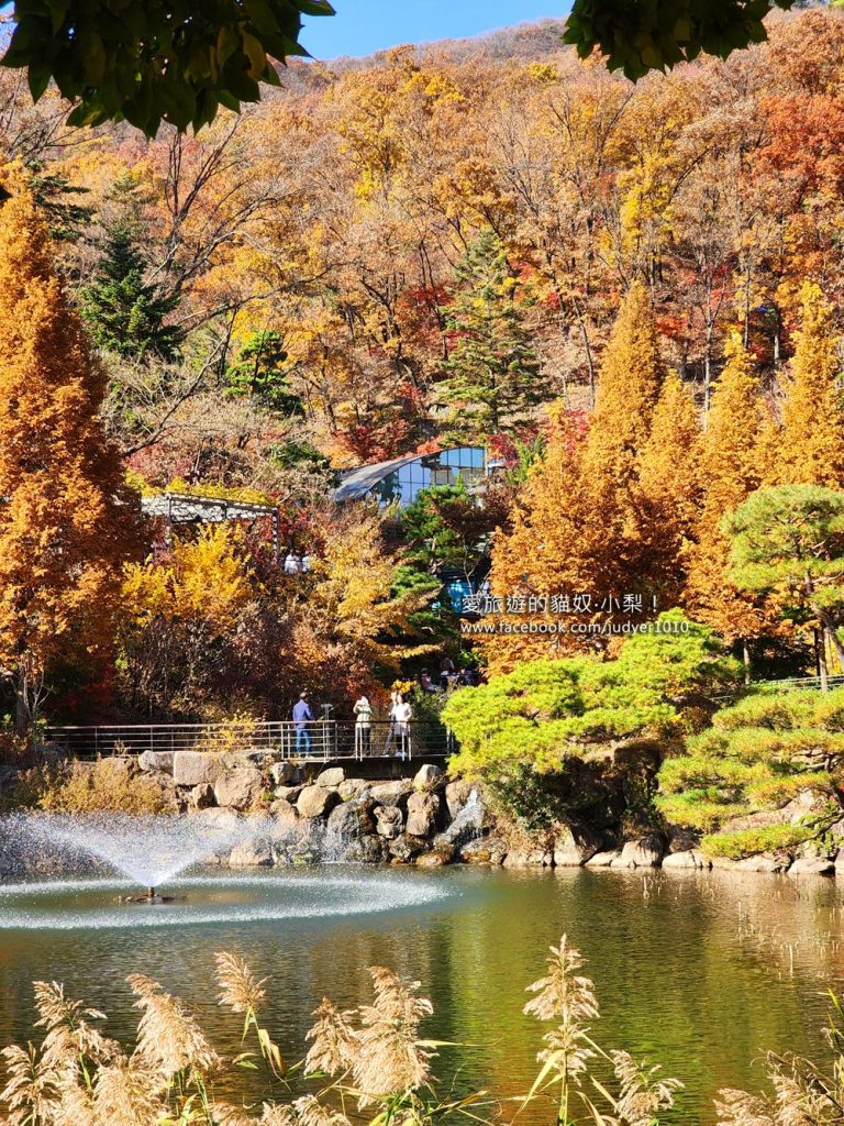 20221102_141800 - 愛旅遊的貓奴‧小梨